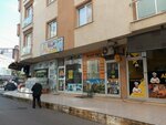 Yıldız Pet Shop (İstanbul, Pendik, Fevzi Çakmak Mah., Öztuna Sok., 1D), petshop  İstanbul'dan