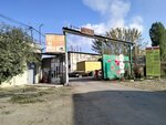 Lumber (Petrovskiy trakt No:8), ahşap endüstrisi  Saratov'dan