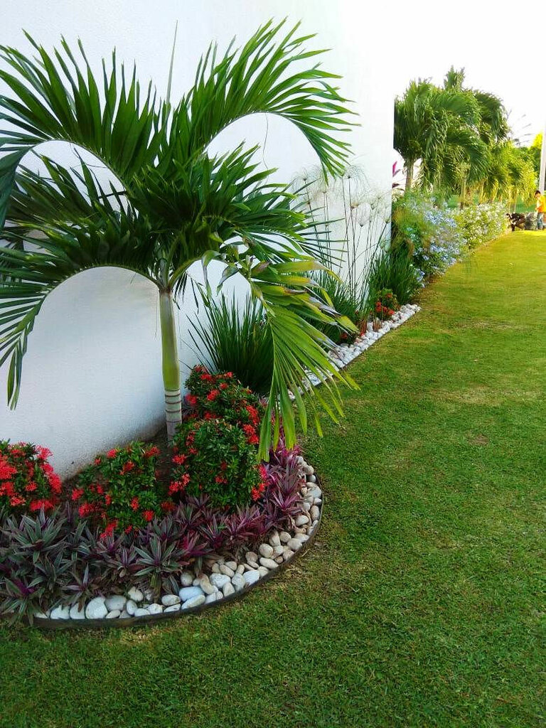 Sera ve bahçe ürünleri Mi Jardín - Serv. Jardinería & Paisajismo, Santa‑Krus, foto