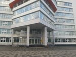 СФУ, институт физической культуры, спорта и туризма (Svobodny prospekt No:82с12), üniversiteler  Krasnoyarsk'tan