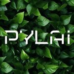 PYLAi (2-ja Lieninskaja vulica No:87, Dziarzhynsk), soba, şömine  Dzerzhinsk'ten