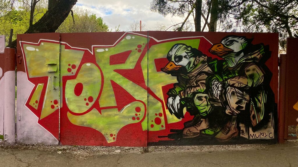 Sokak sanatı Граффити Torb Athletic Ducks, Krasnodar, foto