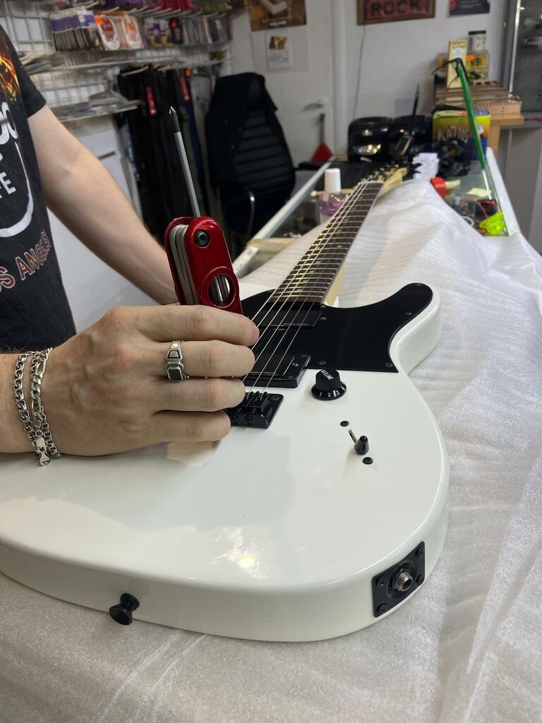 Müzik enstrumanların tamiri Kessler Guitars, Nijni Novgorod, foto