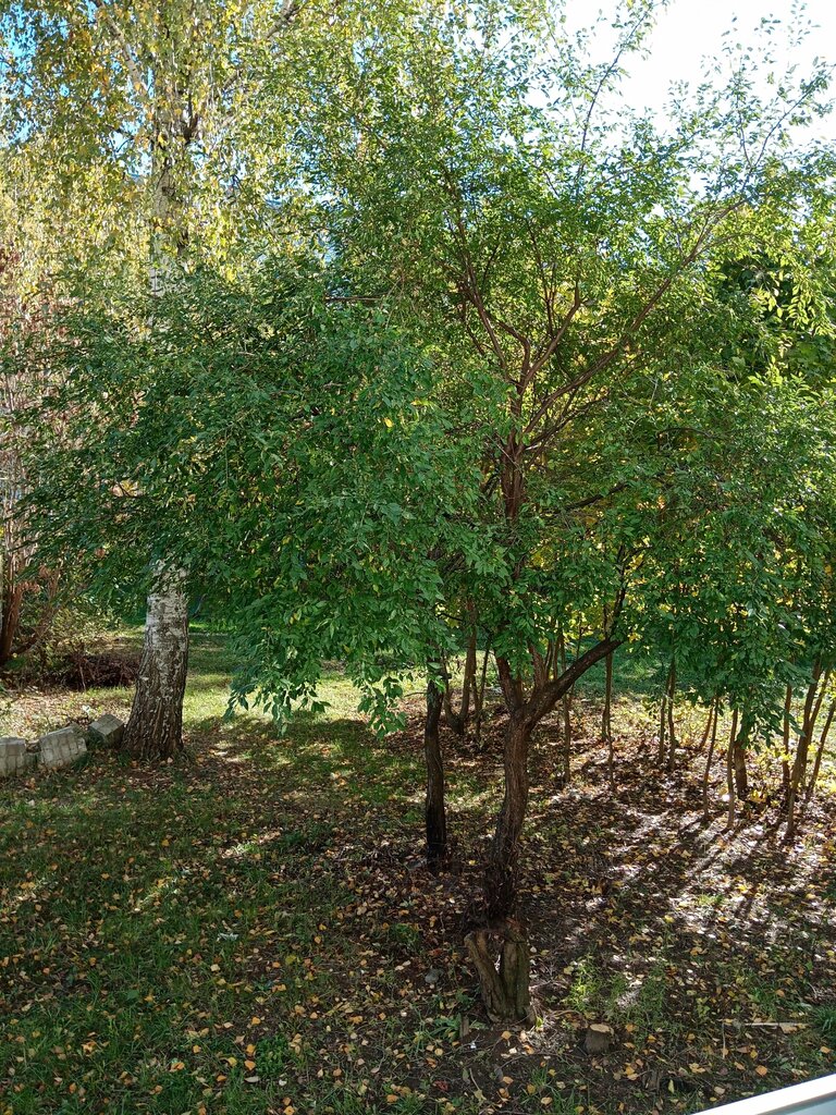Konut servisleri kuruluşları ZhEU № 1 Kup Slutskoye ZhKKh, Slutsk, foto