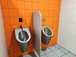 Туалет (Moscow, Severniy Administrative Okrug, Beskudnikovskiy District), tuvalet  Moskova'dan