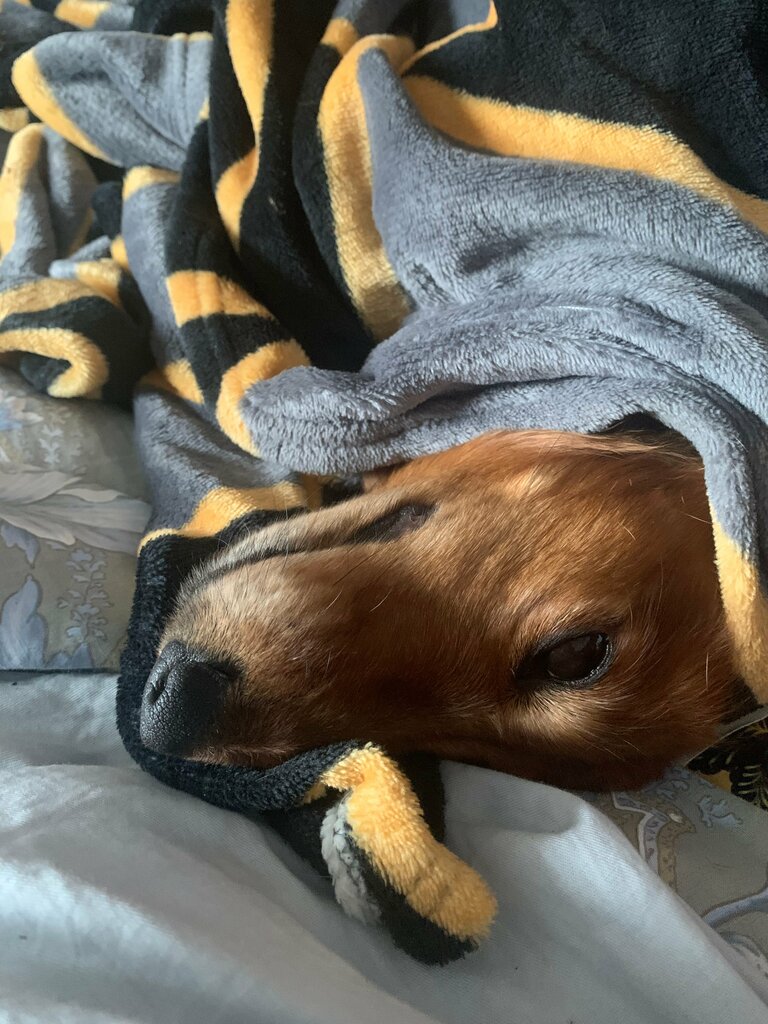 Piknik alanı Место для пикника № 2, Moskova, foto