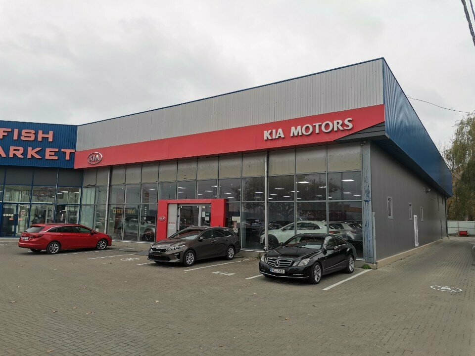 Otomobil satış galerileri AutoFrame, Beltsi, foto