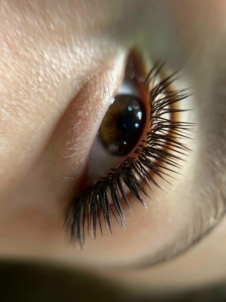 Kaş ve kirpik salonu Eyelashes Without Rules, Moskova, foto
