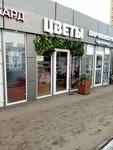 Фловея (Moskovskaya Street No:160А), çiçekçiler  Krasnodar'dan