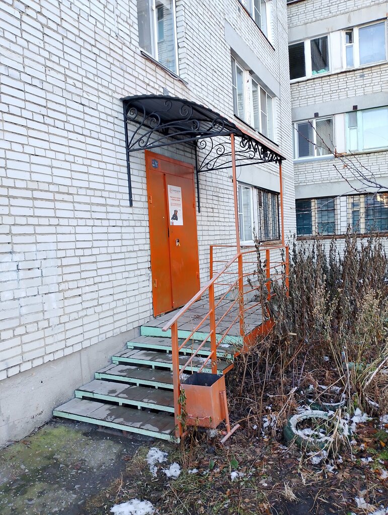 Evcil hayvan kuaförleri Солнечный пёс, Kurgan, foto