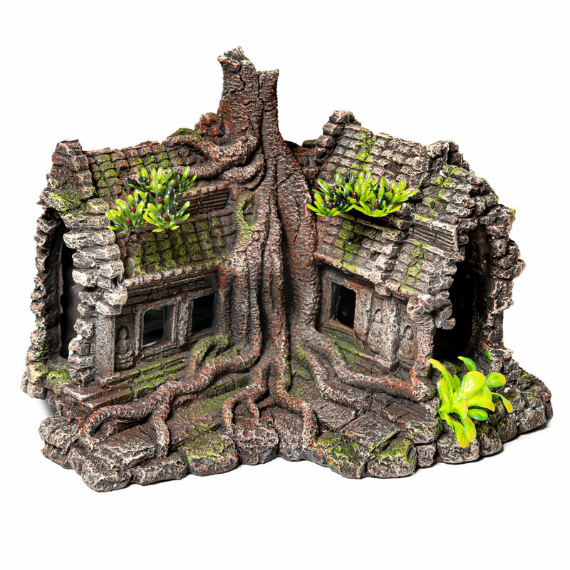 Petshop Laguna Aqua, Moskova ve Moskovskaya oblastı, foto