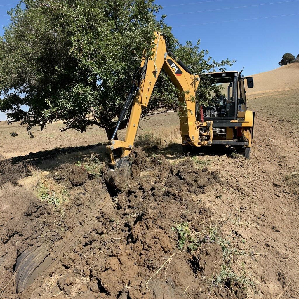 Muhtarlıklar İbrahimbeyli Mahalle Muhtarlığı, Evren, foto