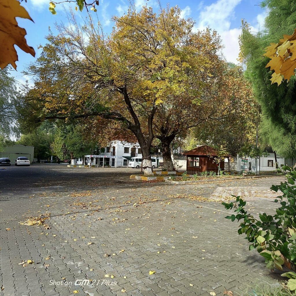 Kafe Defne Cafe, Söke, foto