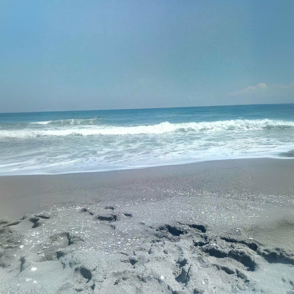 Kafe Yalı Cafe Aile Çay Bahçesi, Kocaali, foto