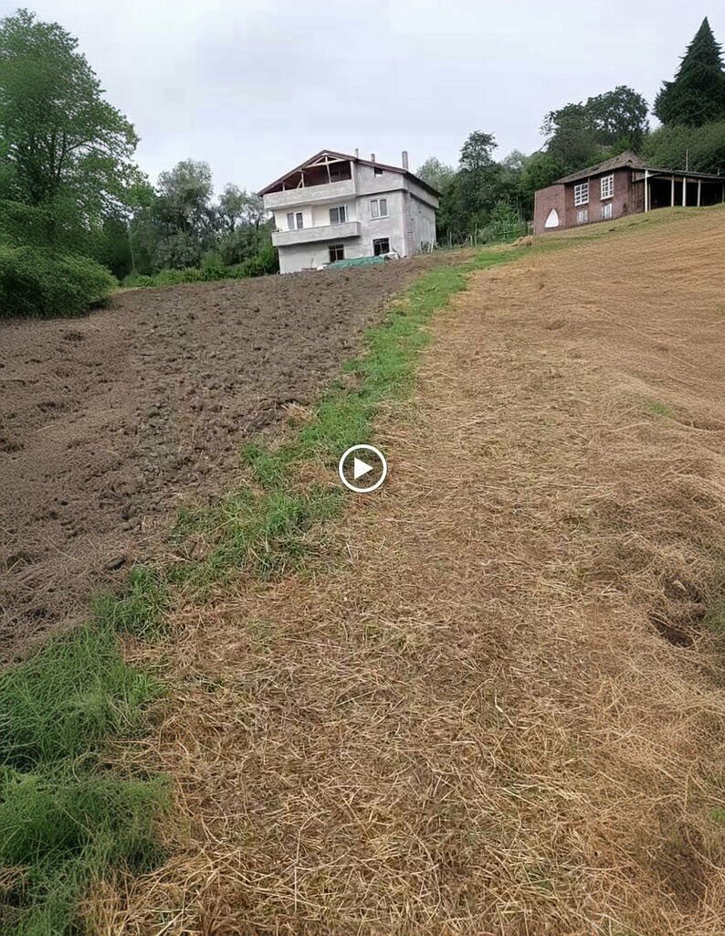 Muhtarlıklar Ramazanoğlu Köy Muhtarlığı, Çaycuma, foto