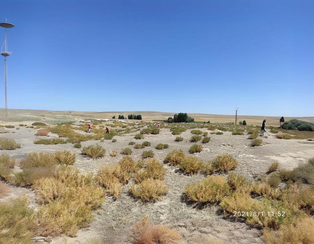 Muhtarlıklar Hatunoğlu Köy Muhtarlığı, Boztepe, foto