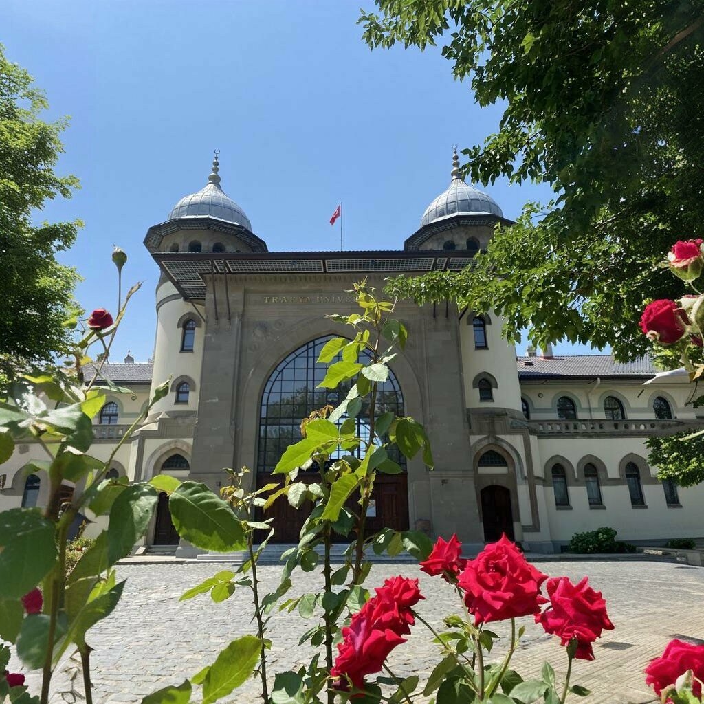 Kafe Ceviz Cafe, Edirne, foto