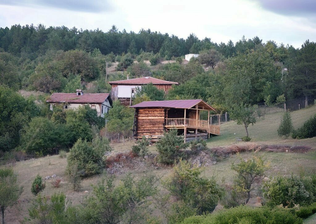 Muhtarlıklar Arıoğlu Köy Muhtarlığı, Boyabat, foto