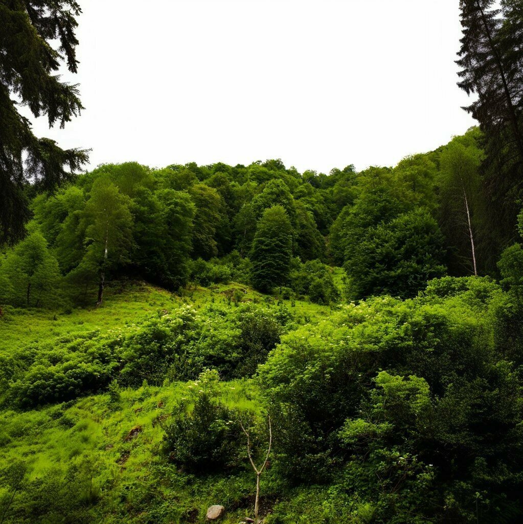 Muhtarlıklar Kınıkgüney Köy Muhtarlığı, Erbaa, foto