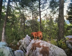 Kuzdere Olympis (Likya Yolu), kültür ve eğlence parkları  Kemer'den