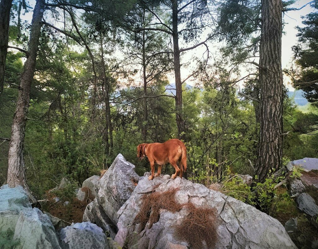 Kültür ve eğlence parkları Kuzdere Olympis, Kemer, foto
