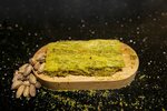 Baklavacı Şemsettin (Diyarbakır, Sur, İnönü Blv., 14A), kafe  Diyarbakır'dan
