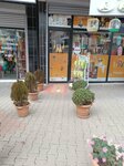 İlkim Petshop (Yıldıztepe Mah., 815. Sok., No:3 C, Altındağ, Ankara), petshop  Ankara'dan