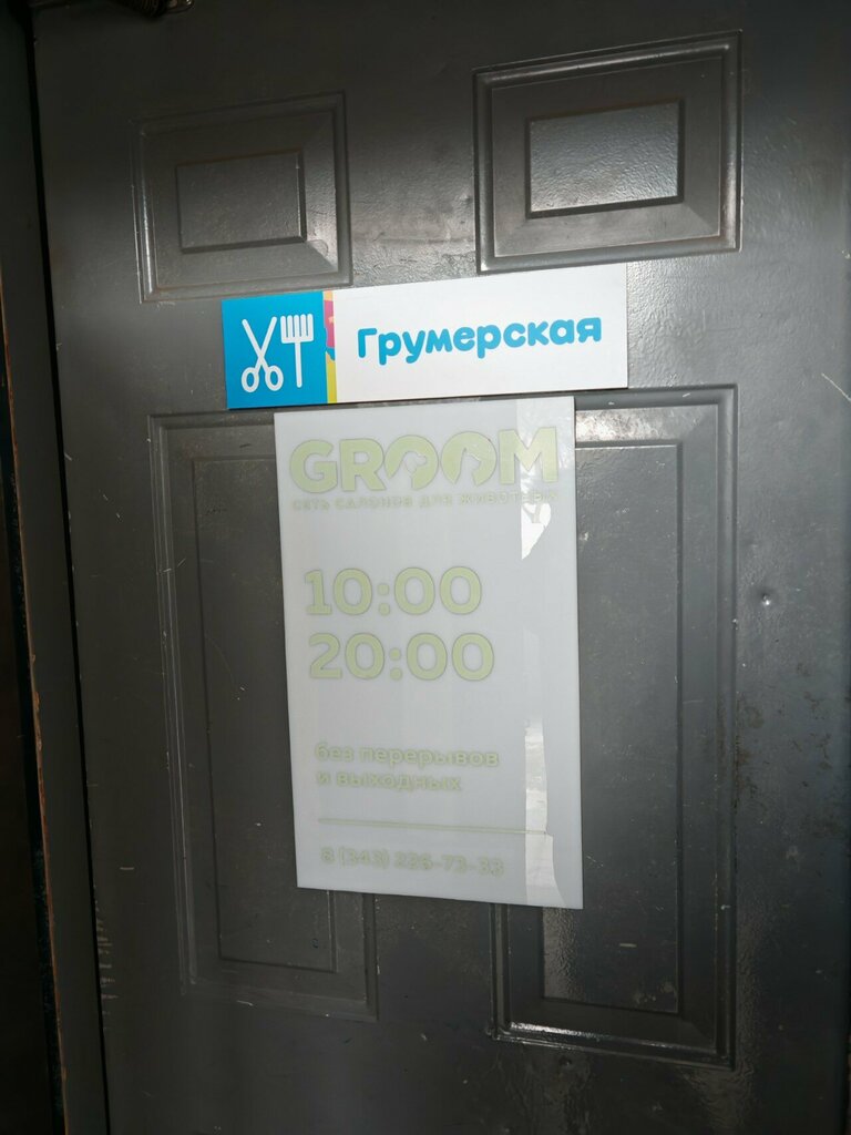 Evcil hayvan kuaförleri Groom, Yekaterinburg, foto