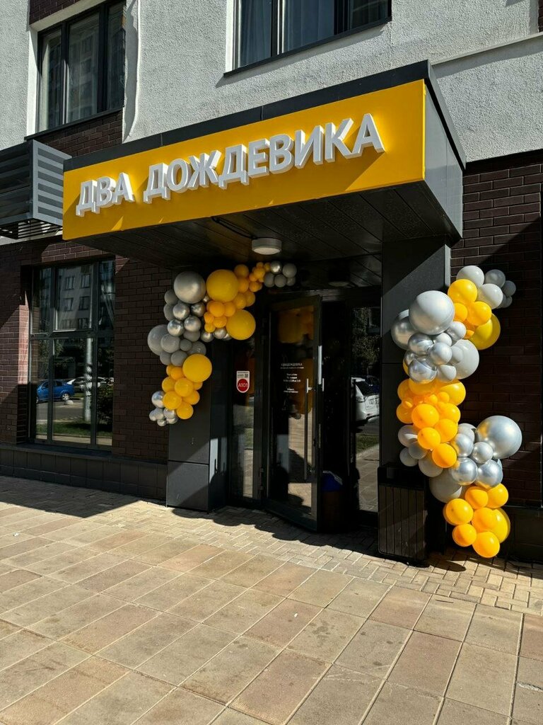 Etkinlik organizasyonu Тот самый шарик, Moskova, foto
