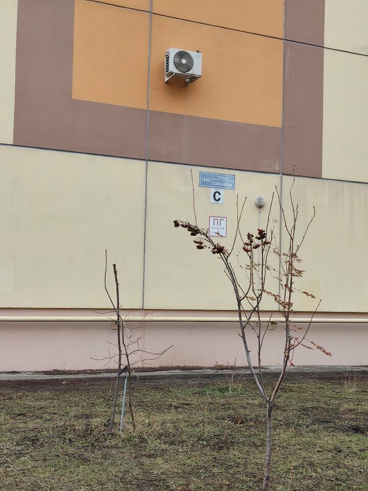 Güzellik salonu Ls studio, Voronej, foto