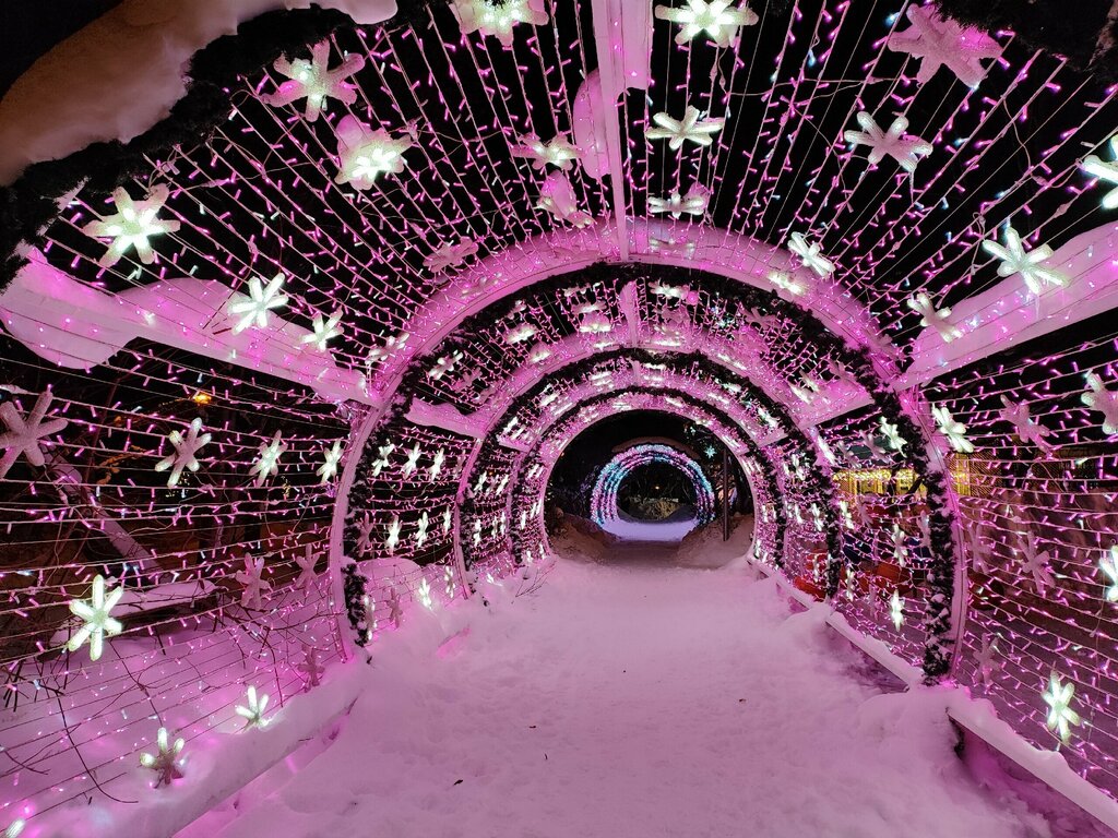 Turistik yerler Арка, Moskova, foto