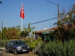 Hacıoğlu Fidancılık (Manisa, Akhisar, Ulu Camii Mah.), fidan yetiştiriciliği  Akhisar'dan
