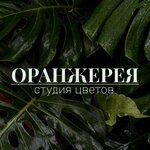 Оранжерея (Bakinskaya Street No:122), çiçekçiler  Astrahan'dan
