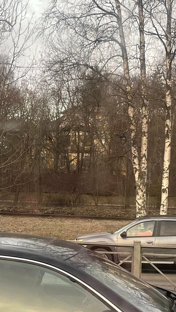 Turistik yerler Особняк Авенариуса, Sestroretsk, foto