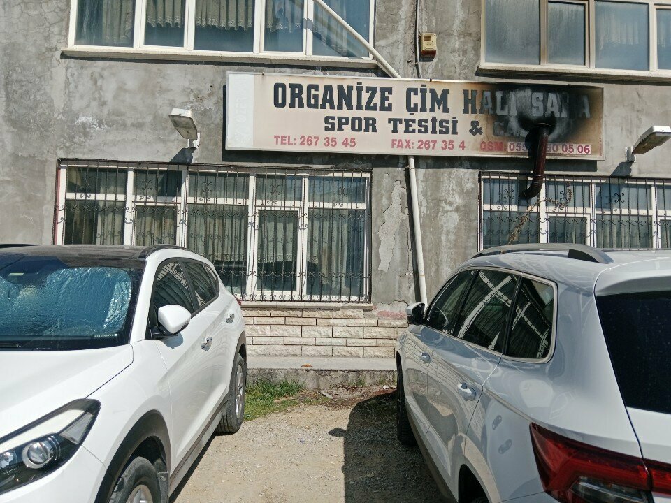 Spor tesisi Organize Çim Halı Saha, Ankara, foto