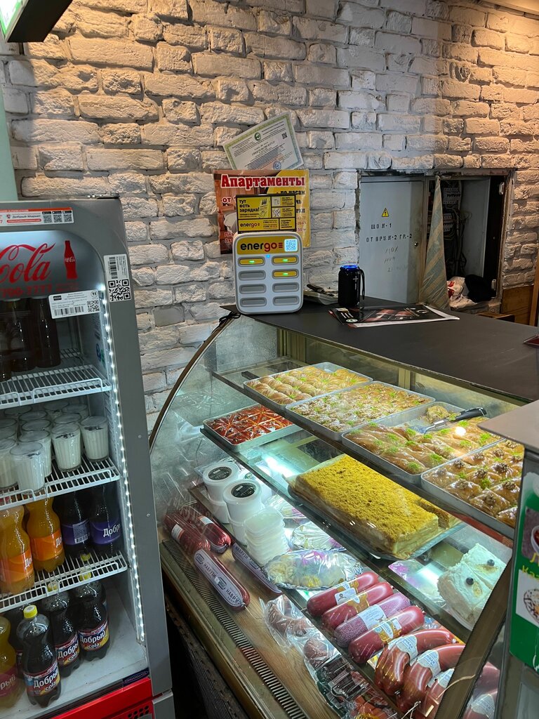 Şarj cihazı kiralama Energo, Elektrostal, foto