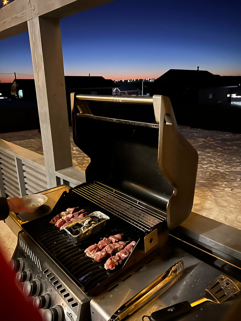 Tatil ve piknik için ürünler Pro гриль, Izhevsk, foto