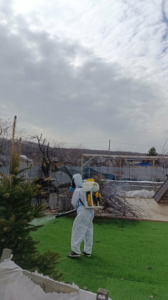 Haşere ilaçlama firmaları ChestnoDez, Samara, foto