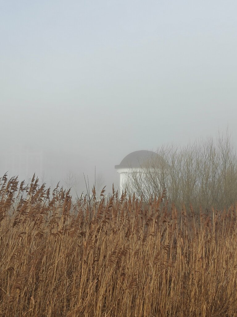 Dekorasyon ve süsleme, onur panosu Ротонда, Tula, foto