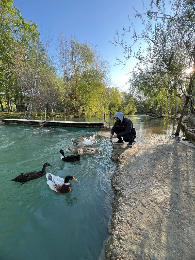 Kamp alanları Ördekli Kamp ve Piknik Alanı, Alanya, foto