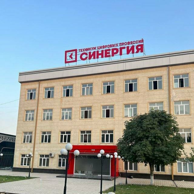 Bilişim firmaları Synergy Hub Academy, Nemengan, foto