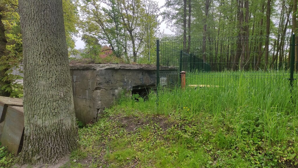 Turistik yerler Дольмен, Baltiysk, foto