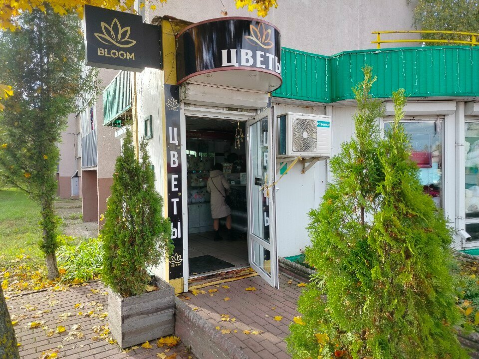 Çiçekçiler Bloom, Bobruisk, foto