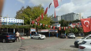 Deniz Canlıları Müzesi Balıkçı Kenan  (İstanbul, Beylikdüzü, Adnan Kahveci Mah., Buse Sok., 6), müzeler ve sanat galerileri  İstanbul'dan