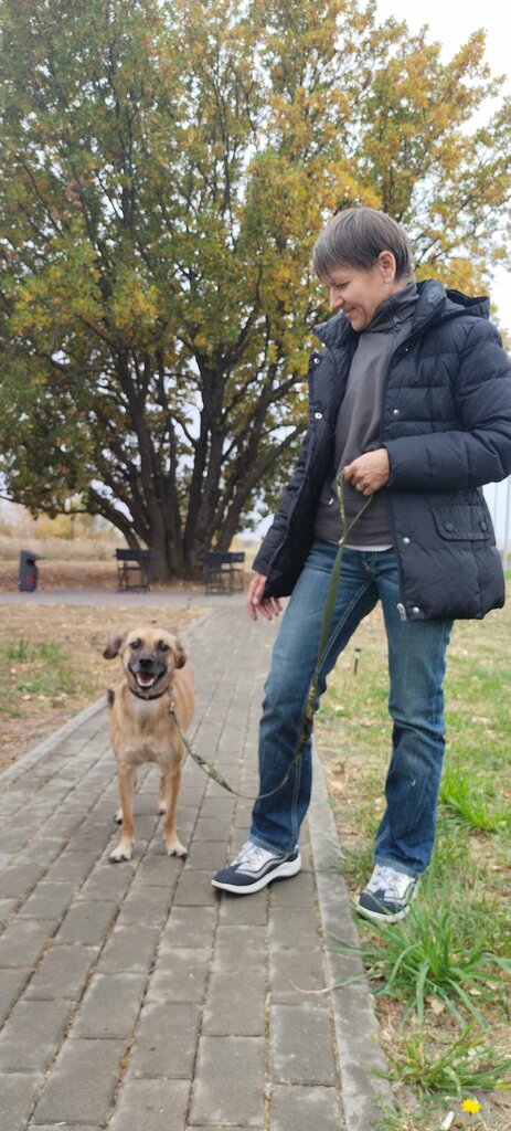 Veteriner klinikleri Краснослободская районная станция по борьбе с болезнями животных, Krasnoslobodsk, foto