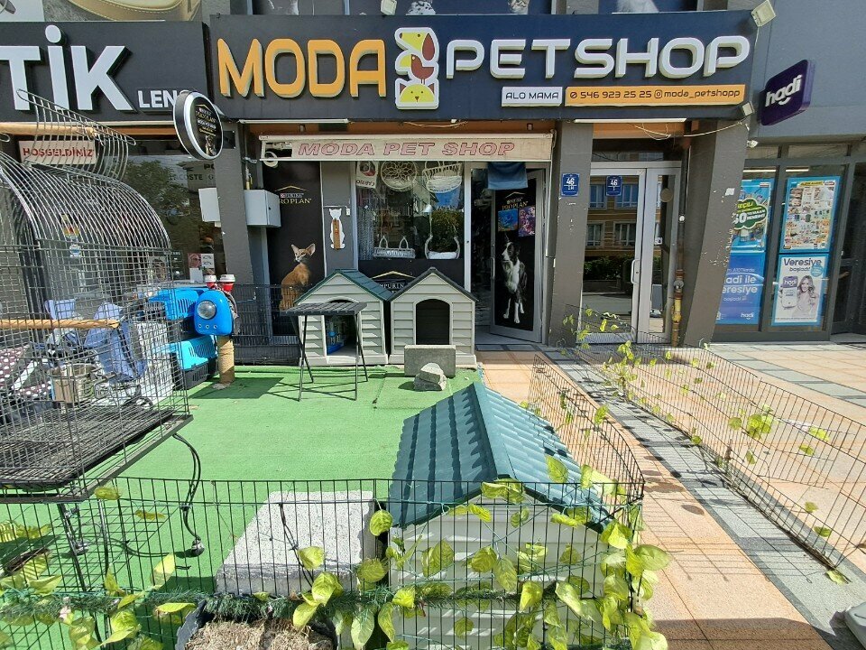 Akvaryumlar Dutluk moda petshop, Ankara, foto