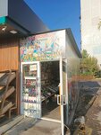 Toy World (Tashkent, Yorqin koʻchasi), çocuk oyunları ve oyuncakları  Taşkent'ten