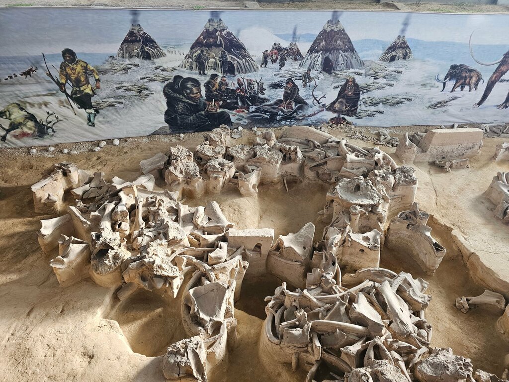 Müzeler ve sanat galerileri Палеолит, Brianskaya oblastı, foto