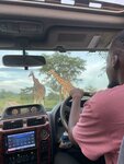 Trip Car Rental (Kampala, Speke Road), oto kiralama  Kampala'dan