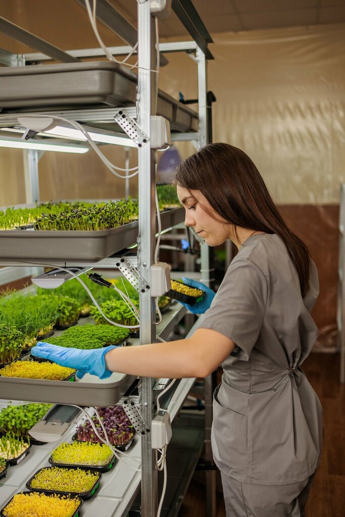 Tarım firmaları Добрая Зелень, Rybinsk, foto